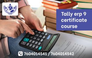 The Best Way To Manage And Use Tally ERP 9